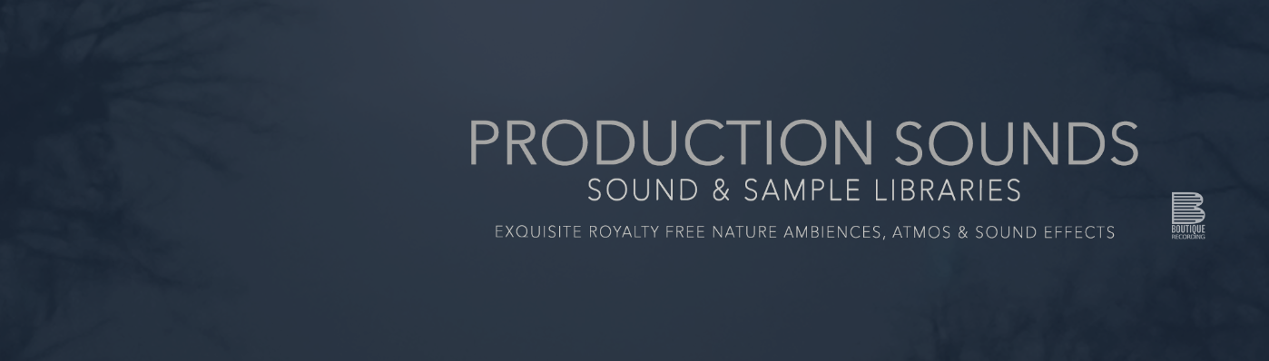 Stock Sound Effects by Productionsounds | Official Pond5 Storefront